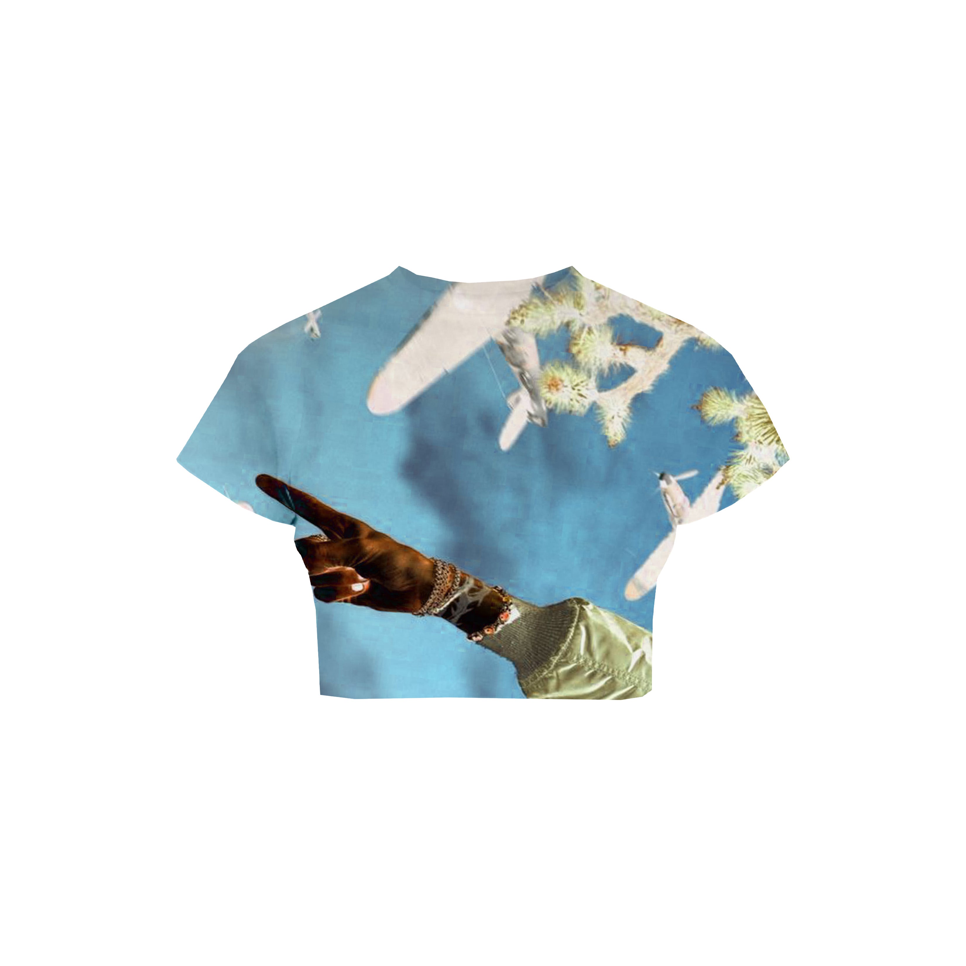 FRSH PLANES CROP TOP T-SHIRT – FRSH Company